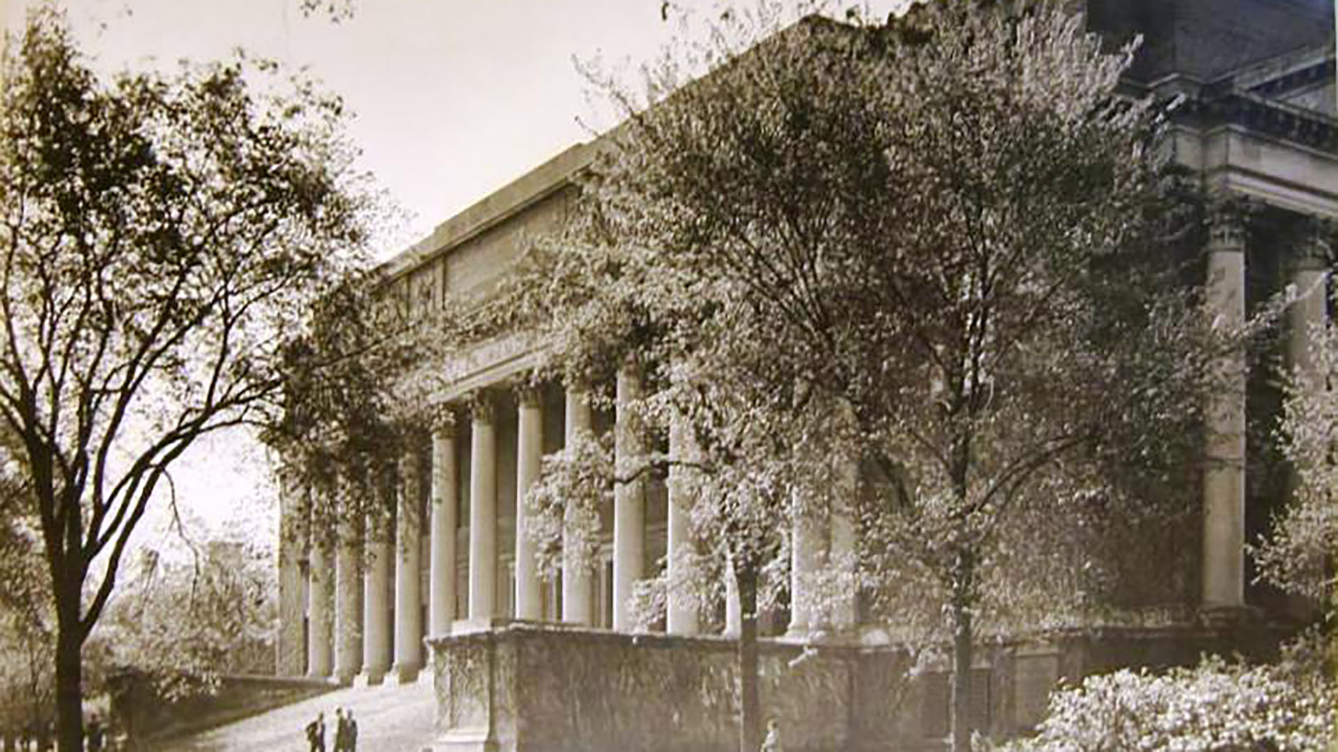 Celebrating Black History Month | COCOON