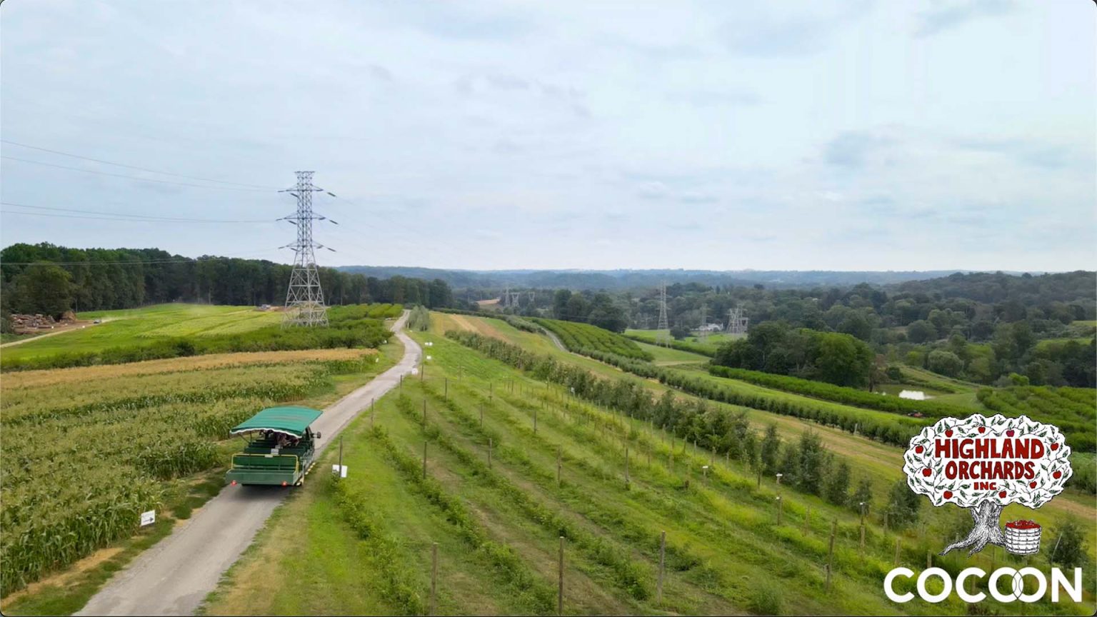 Yummy Rustic Peach Pie Recipe